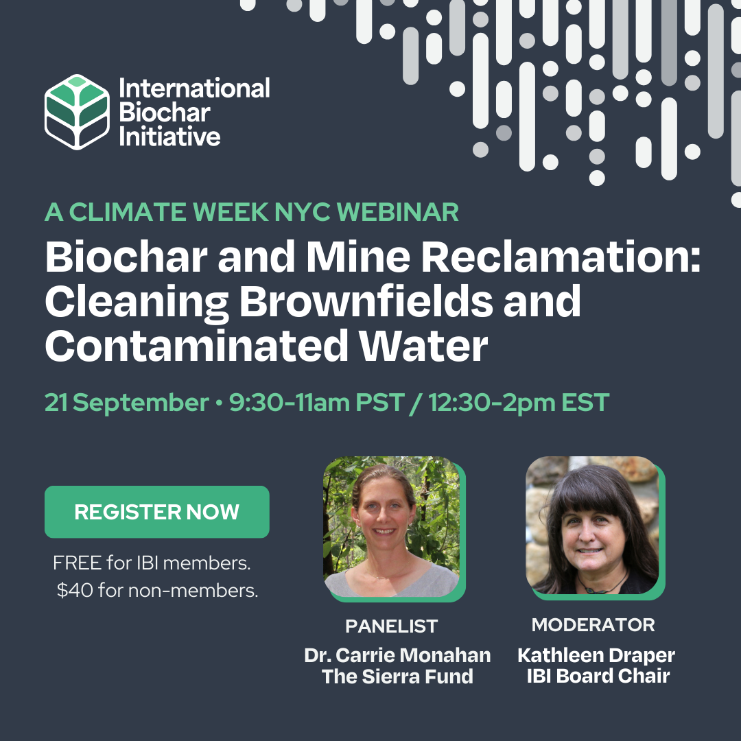 Biochar and Mine Reclamation: Cleaning Brownfields and Contaminated Water - International ...