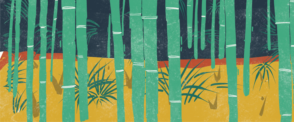 This is Biochar: Transforming Bamboo Waste into Community Wealth ...