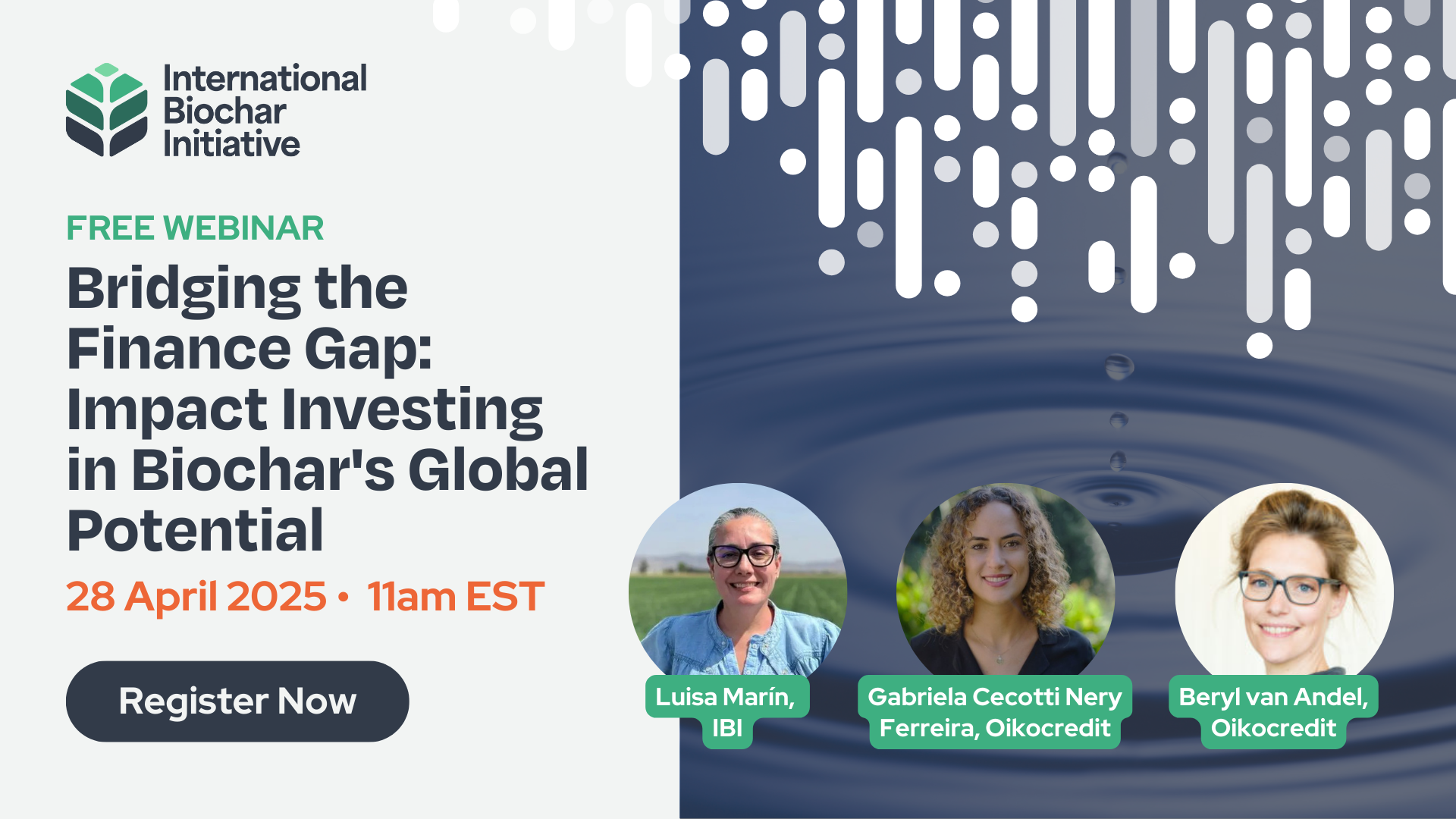 Bridging the Finance Gap: Impact Investing in Biochar's Global Potential - International Biochar ...