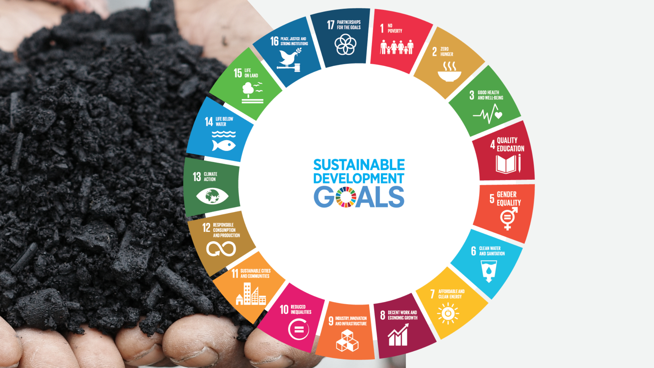 Biochar, FAO, and the Sustainable Development Goals - International ...