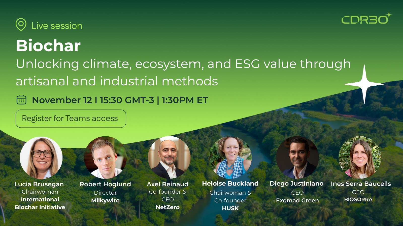 Biochar: unlocking climate, ecosystem, and ESG value through artisanal and industrial methods ...